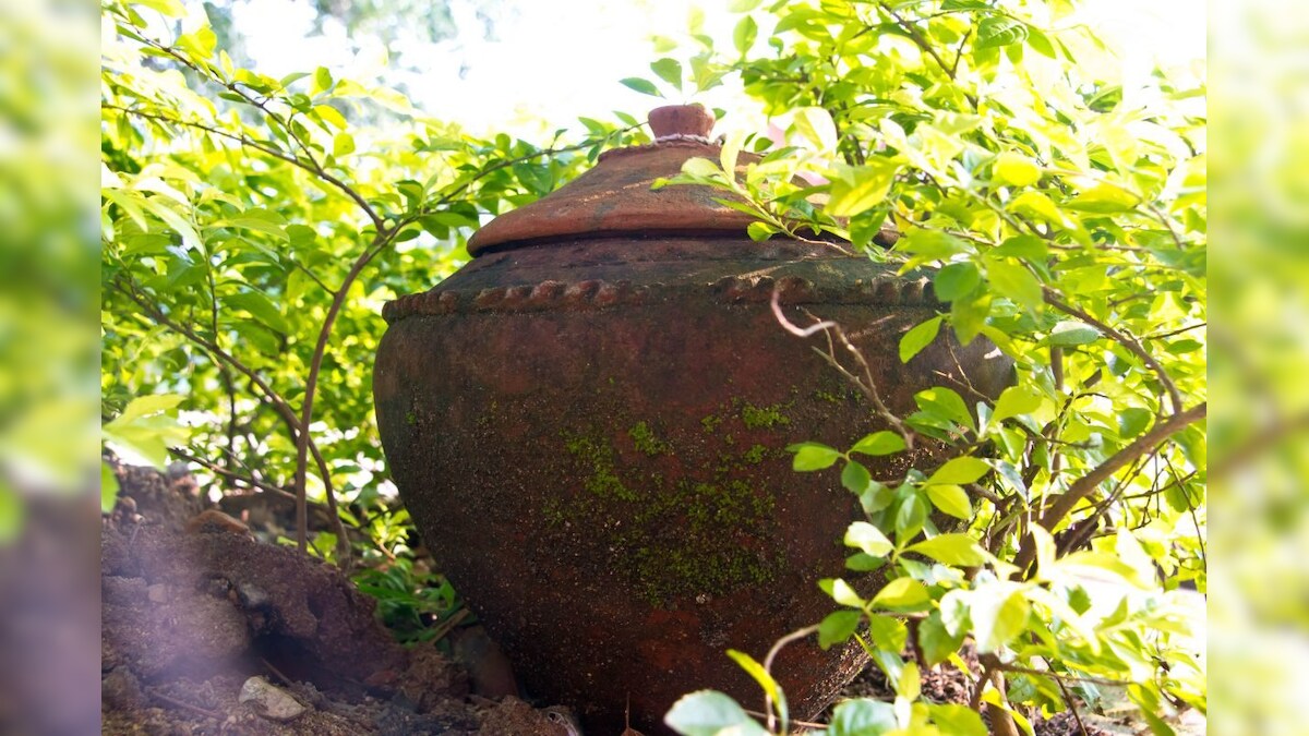 मटक्यातील पाणी पिताना करु नका या चुका, चांगलं नाही तर आरोग्यावर होतील ...