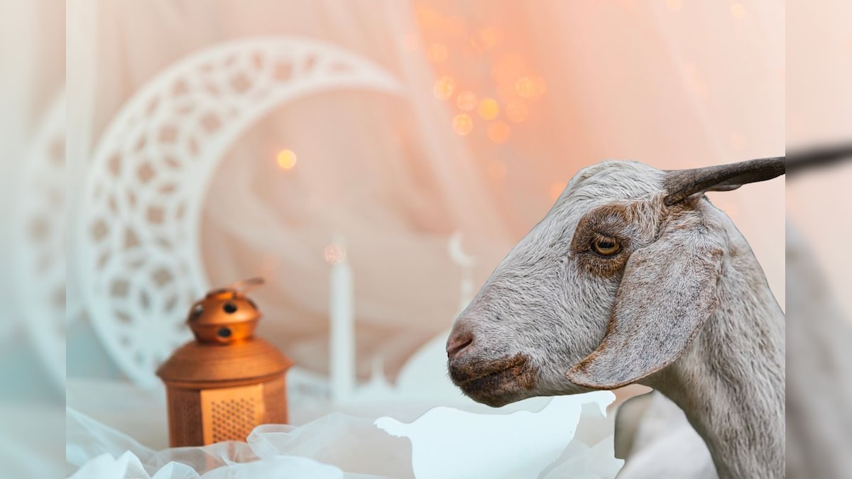 Bakra Eid : बकरी ईदला का देतात बकऱ्याची कुर्बानी? काय आहे यामागची ...