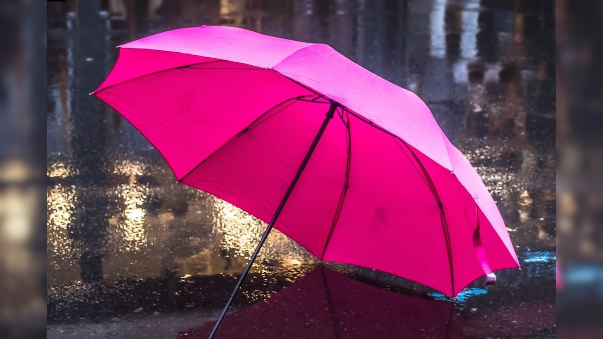 पावसाळ्याच्या दिवसात छत्री हमखास हरवते? वापरा 5 सोप्या ट्रिक, छत्री ...