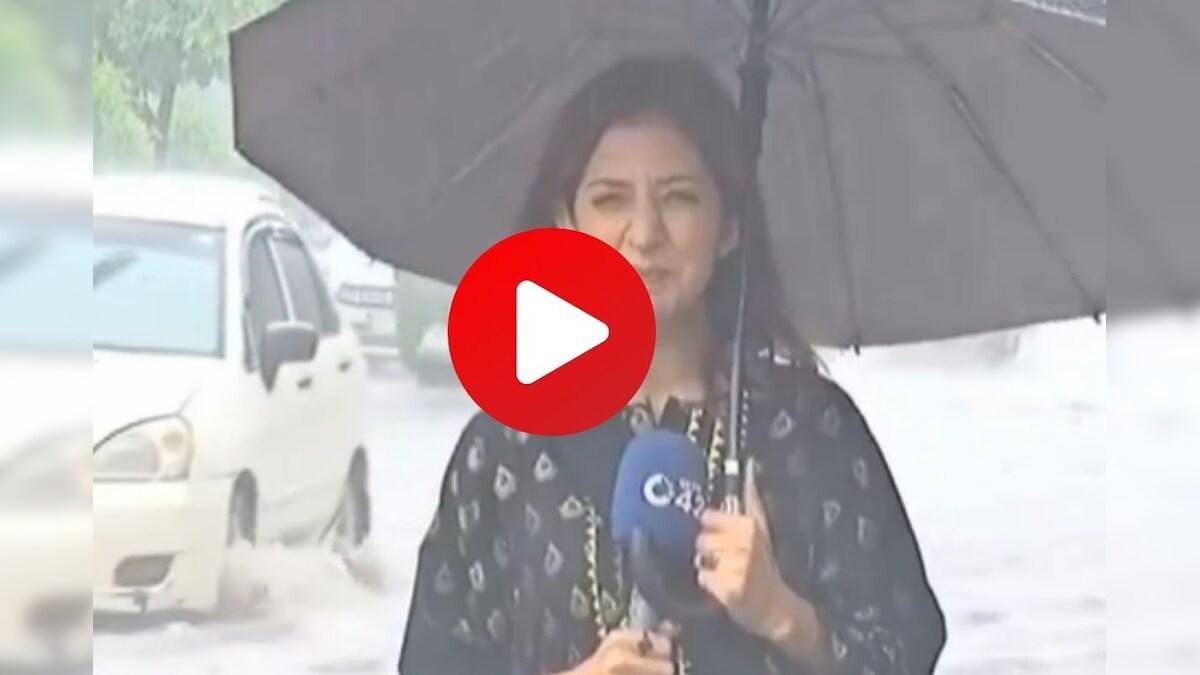 Pakistani Reporter Video : ''काय क्यूट आहे राव ही....'' पाकिस्तानी ...