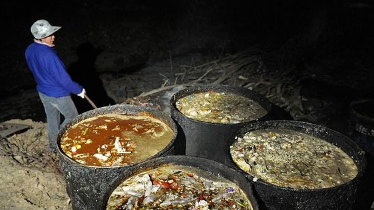Gutter oil : काय आहे गटर तेल? हे खरंच गटारातून काढलं जातं का? कुठे आणि ...