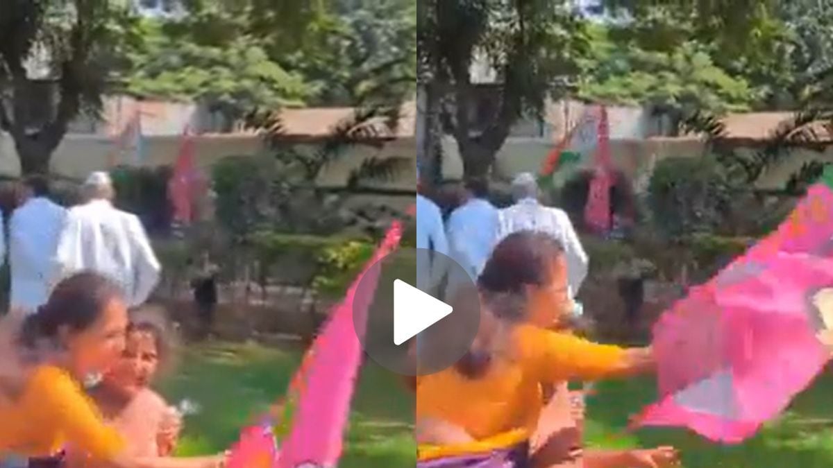 चिमुरडीच्या हातात दादांचा झेंडा, सुप्रिया सुळेंनी बाजूला केला अन् Photo ...