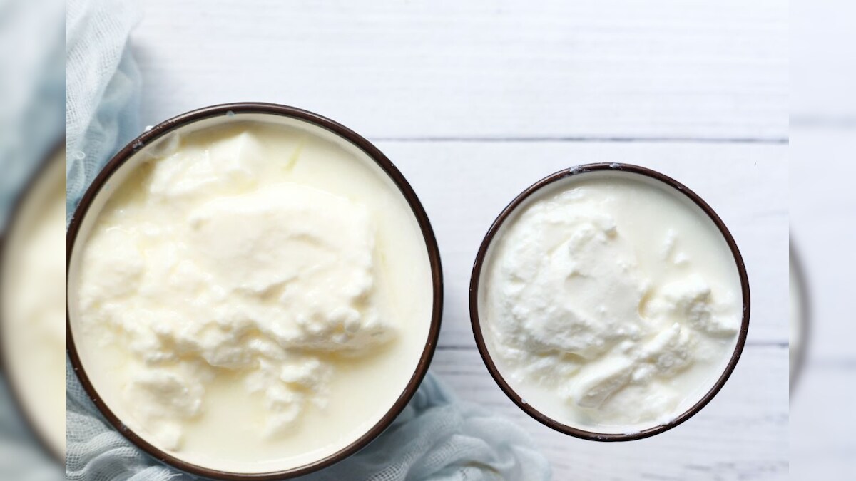 Difference between Curd and Yogurt: आरोग्यासाठी चांगलं काय, दही की ...