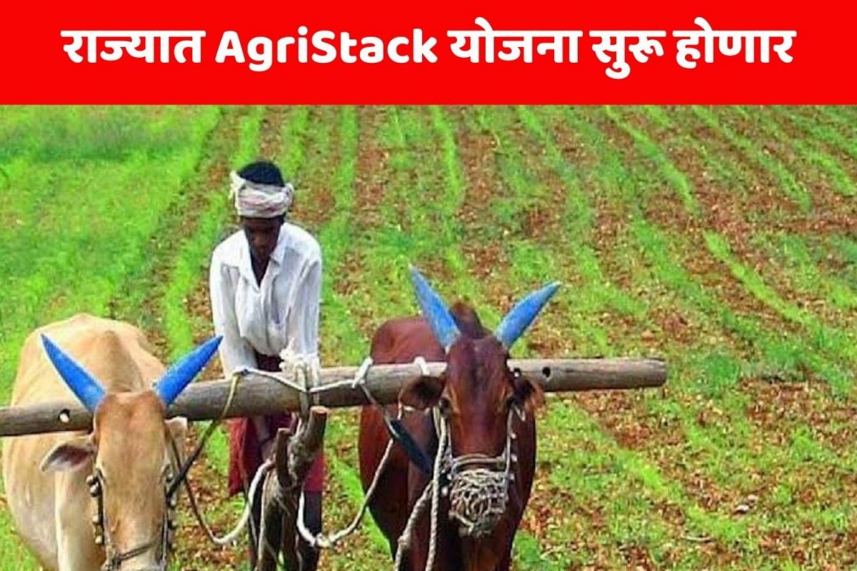 Agri Stack yojana : राज्यात 16 तारखेपासून Agri Stack योजना सुरू होणार ...