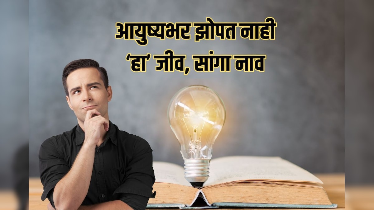 General Knowledge : असा प्राणी जो आयुष्यभर झोपत नाही, 99 टक्के लोकांना ...