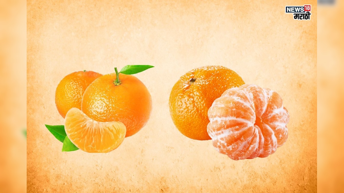 Orange & kinnow difference: ‘ही’ दोन्ही फळं दिसायला एकसारखीच, मात्र 99 % लोकांना माहिती नाही ...