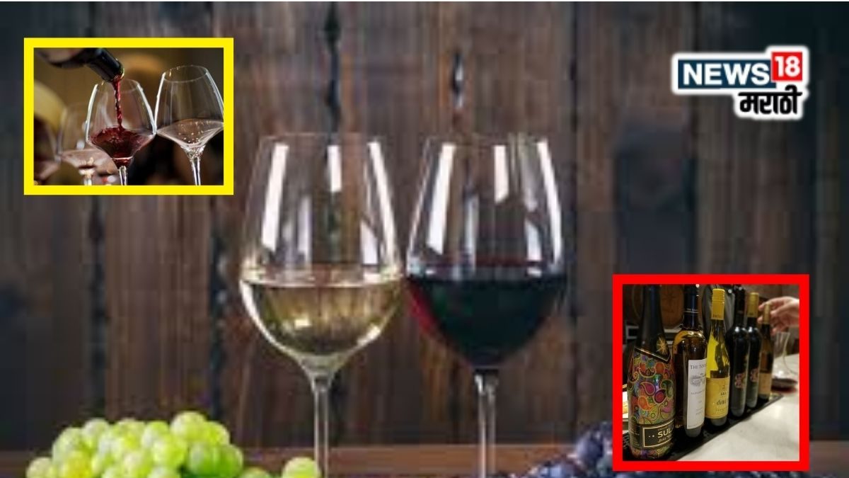 Wine Good or Bad: वाइन आरोग्यासाठी फायदेशीर की हानिकारक? संपूर्ण सत्य ...
