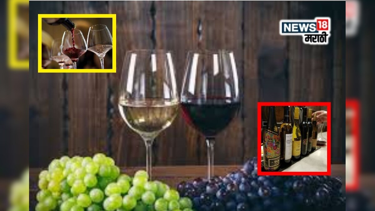 Wine Good or Bad: वाइन आरोग्यासाठी फायदेशीर की हानिकारक? संपूर्ण सत्य ...