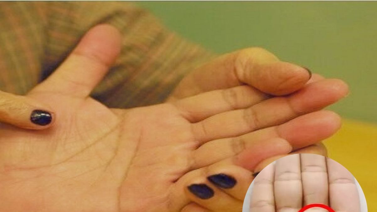 Shani Rekha In Hand: तुमच्या हातावर शनिरेषा आहे का पहा; सुख-सुविधा ...