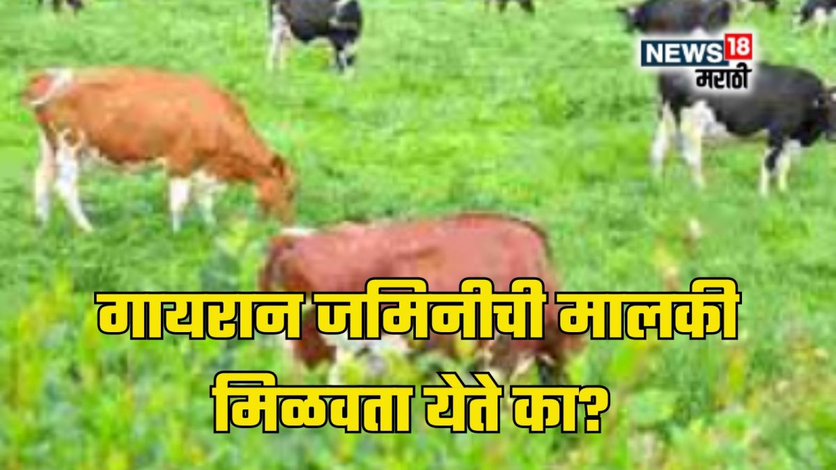 Agriculture Law : गायरान जमिनीची मालकी मिळवता येते का? कायदा काय सांगतो ...