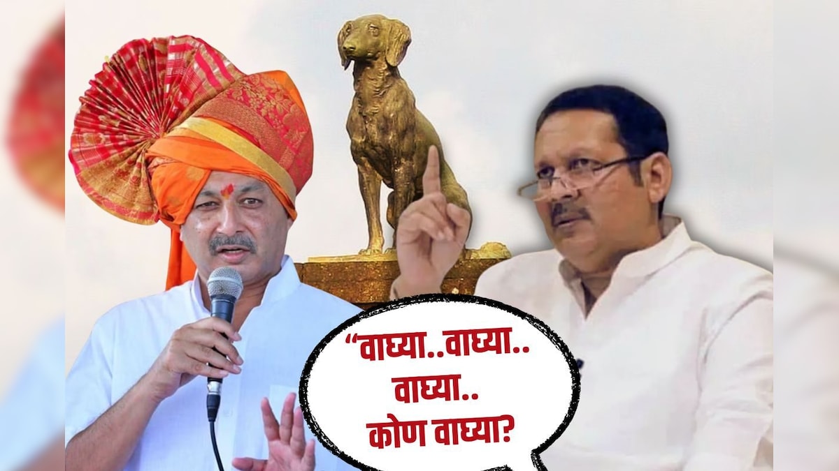 संभाजीराजेंनी शड्डू ठोकला, पण रायगडावरील वाघ्या कुत्र्याच्या पुतळ्यावर ...