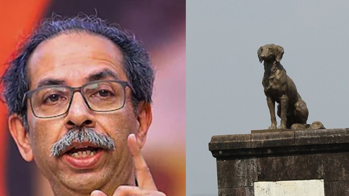 रायगडावरील वाघ्याचा वाद चिघळणार? उद्धव ठाकरेंनी थेट सांगितले, आता ...