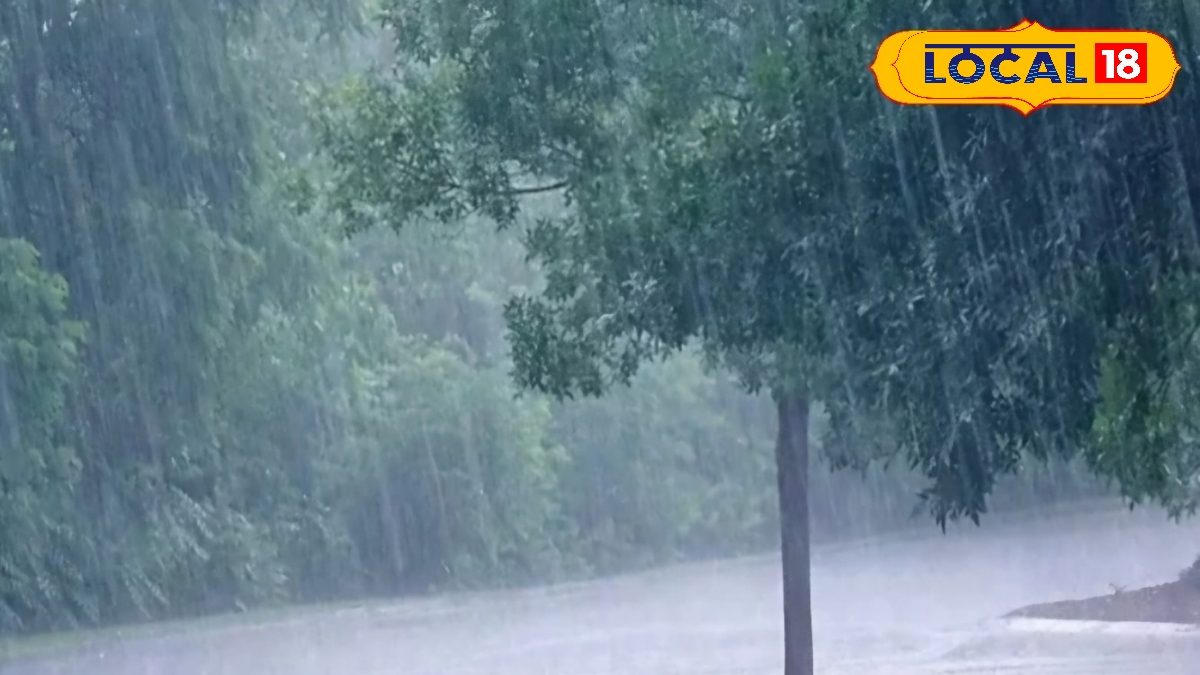 Maharashtra Rain Update : संपूर्ण मे महिन्यात पाऊस, 50 वर्षात ...