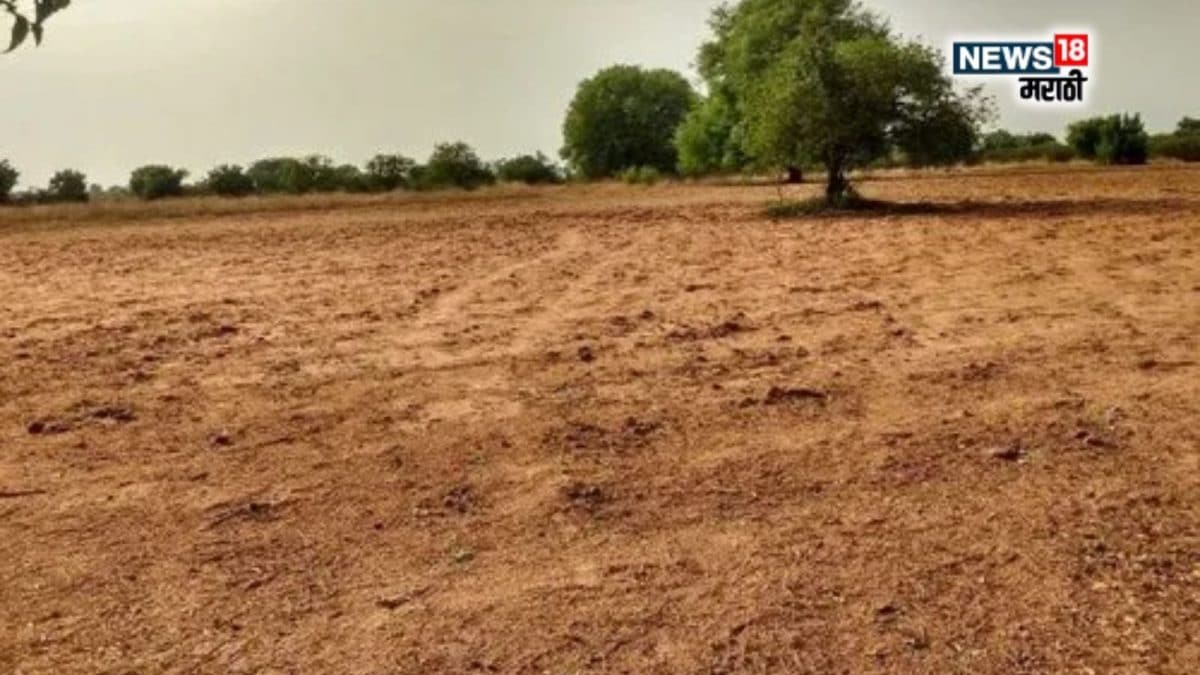 Agriculture News : शेतजमीन NA कशी केली जाते? अर्जप्रक्रिया, आवश्यक ...