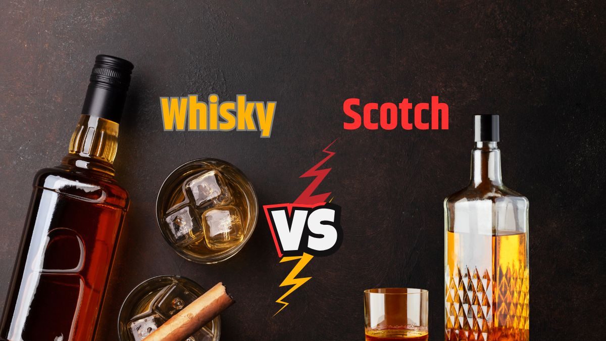 Whisky vs Scotch : व्हिस्की आणि स्कॉच दोघांमध्ये काय फरक? अनेक ...