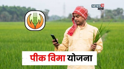 Pik Vima Yojana : पीक विम्यासाठी उरले शेवटचे काही तास! झटपट अर्ज कसा ...