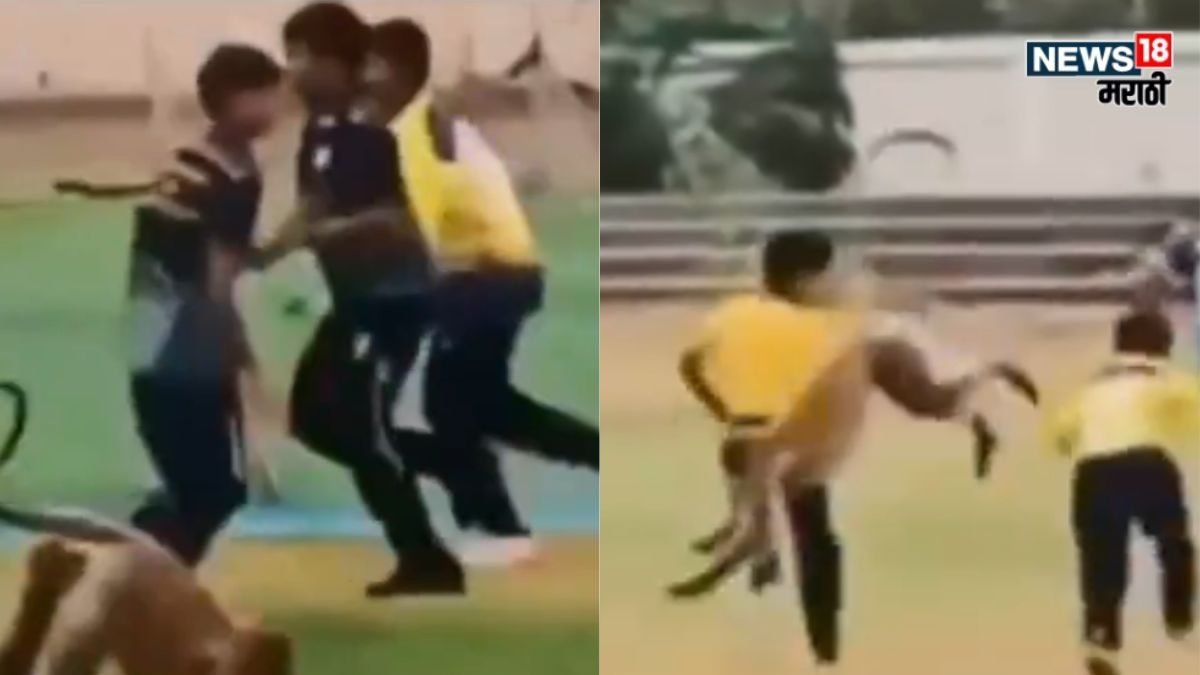 Monkey Terror On Cricket Ground players run away Viral Goes Video Watch ...