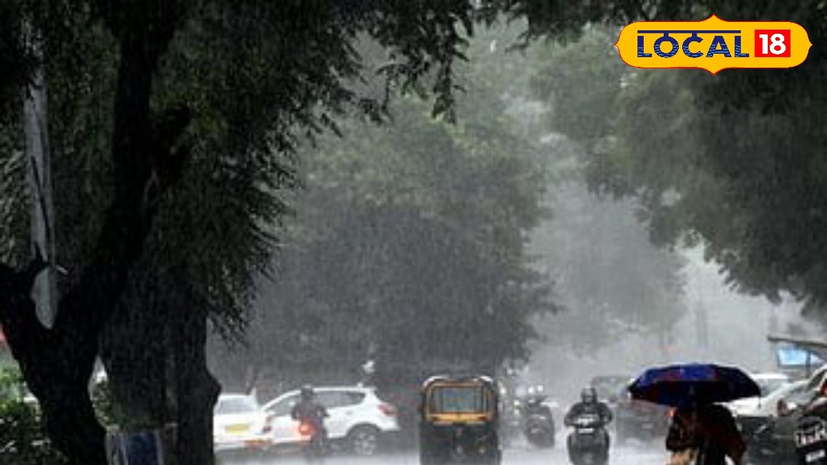 Pune Rain News : पुणे जिल्ह्यात पावसाचा ऑरेंज अलर्ट, प्रशासनाने पुढील ...