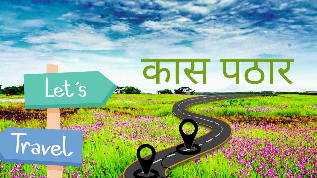 Kas Pathar : फुलांचे राज्य कास पठारला कसं पोहोचाचं? Entry Fee ...
