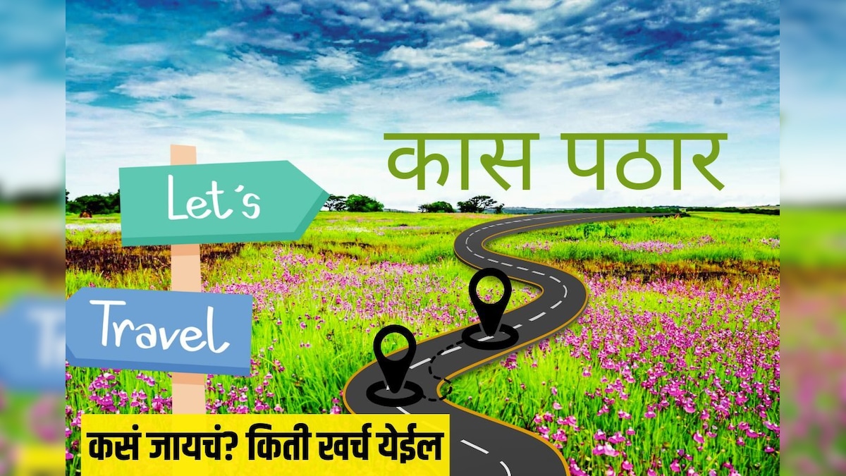 Kas Pathar : फुलांचे राज्य कास पठारला कसं पोहोचाचं? Entry Fee ...