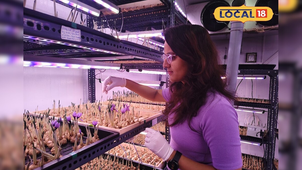 Success Story : शेतकरी नव्हे CA वाल्या ताईंची कमाल, मराठवाड्यात यशस्वी ...