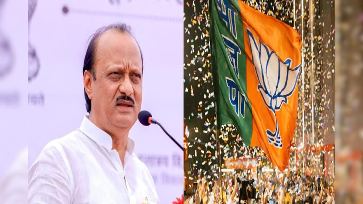 Satara Nagar Parishad Election: भाजपने अजितदादांच्या गटाला दाखवलं आस्मान, एकाच झटक्यात जिंकल्या ...