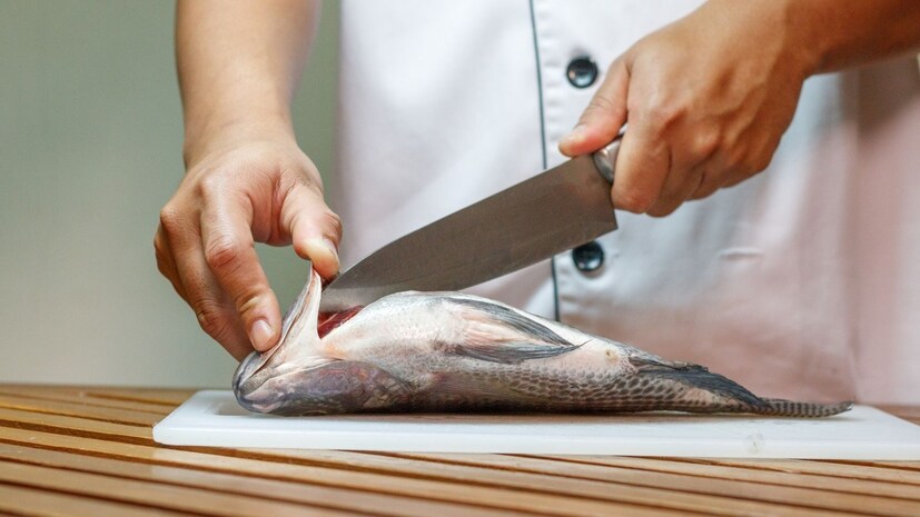 Fish : पहिल्यांदाच मासा खाणार आहात? शेफने सांगितलं सुरुवात करण्यासाठी ...