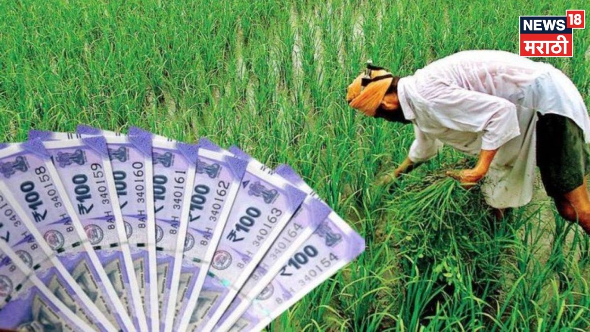 Farmers Loan Waive Off: ना कुठली समिती, ना अभ्यास गट, एका झटक्यात लाखो ...