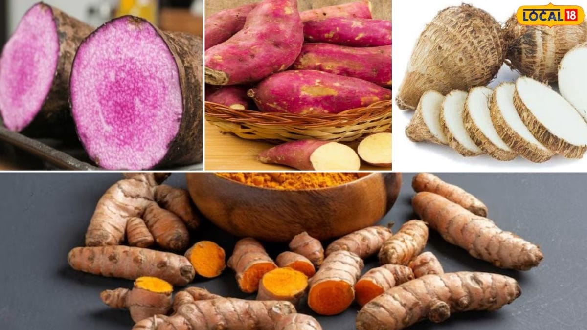 Winter Food : हिवाळ्यात 'ही' 5 कंदमुळं नक्की खावी; शरीराला मिळते उब ...
