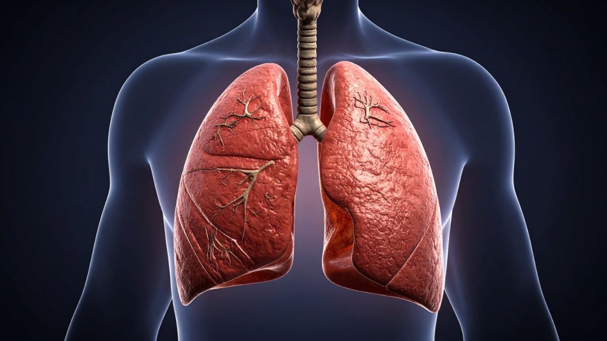 Lungs Exercises : प्रदूषणानं होतंय फुफ्फुसांचं नुकसान, वेळीच सावध व्हा ...
