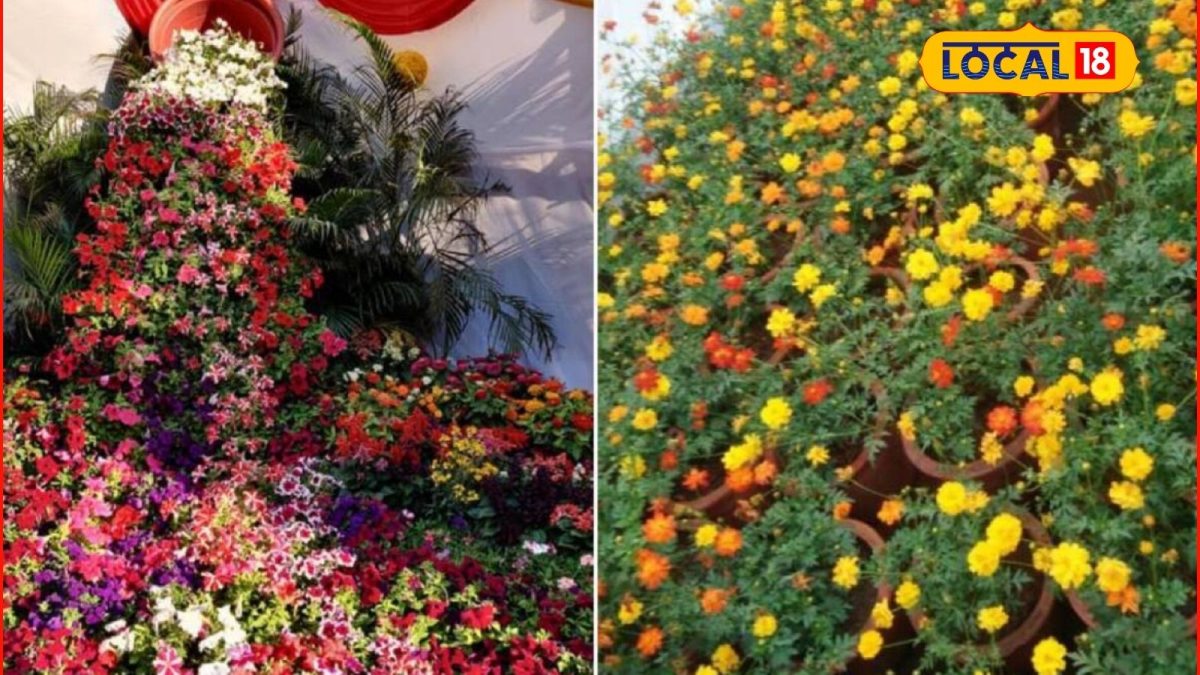 Ranichi Baug: 3 दिवस, हजारो फुले अन् संगीताचा मेळ; राणीच्या बागेत अनोखा ...