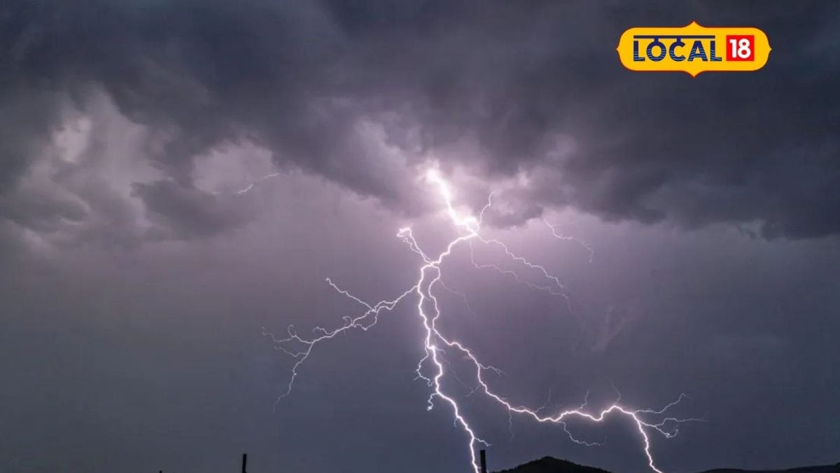 Weather Alert : महाराष्ट्रात आता पाऊस बरसणार, 12 जिल्ह्यांना यलो अलर्ट ...