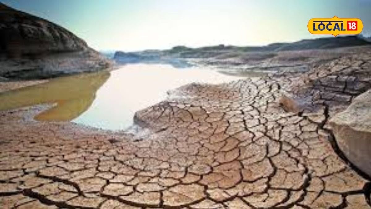 मराठवाड्यात यंदा भीषण परिस्थिती, पाण्यामुळे गणित बिघडणार, तज्ज्ञांचा ...