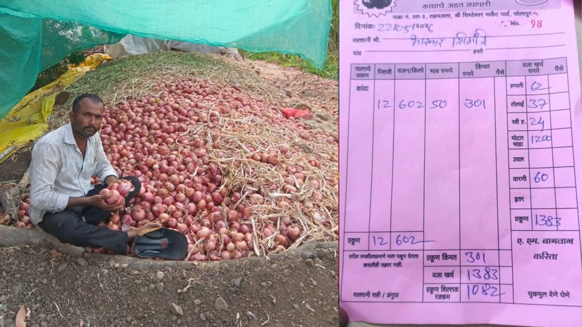 Onion Rate: सांगा कसं जगायचं? 600 किलो कांदा विकला अन् हातात आले 301 ...