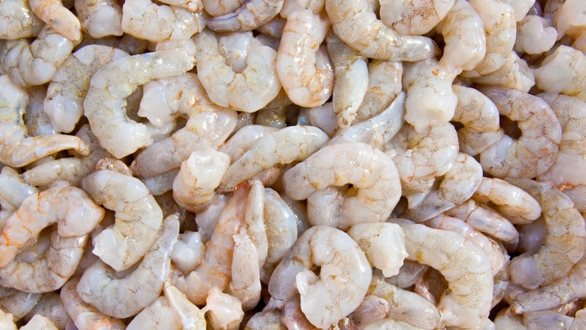 Prawns : कोळंबीच्या पाठीवरील काळी रेषा म्हणजे नस असते का? ती न काढता ...