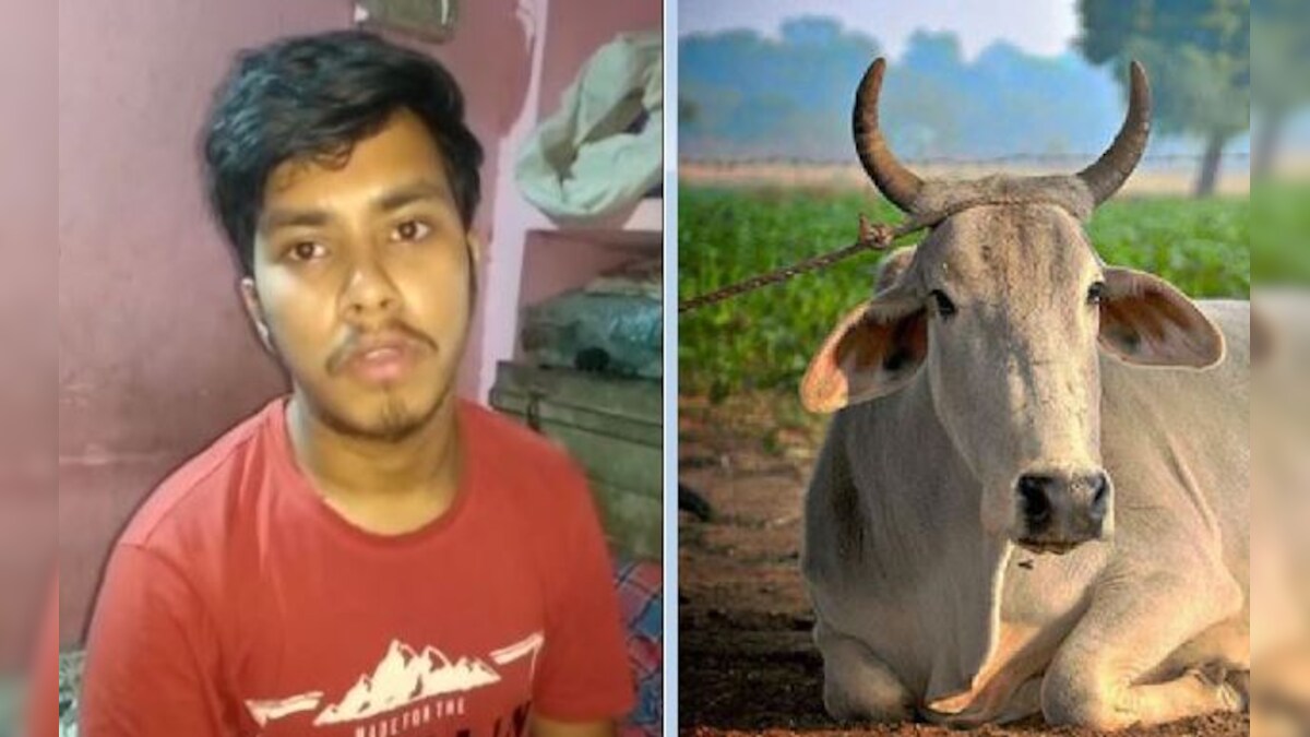 ଭୁବନେଶ୍ୱର: ଅନ୍‌ଲାଇନ୍‌ରେ ଗାଈ ବିକୁଥିଲେ; ଲକ୍ଷେ ଟଙ୍କା ଲୁଟିନେଲେ ସାଇବର୍ ...