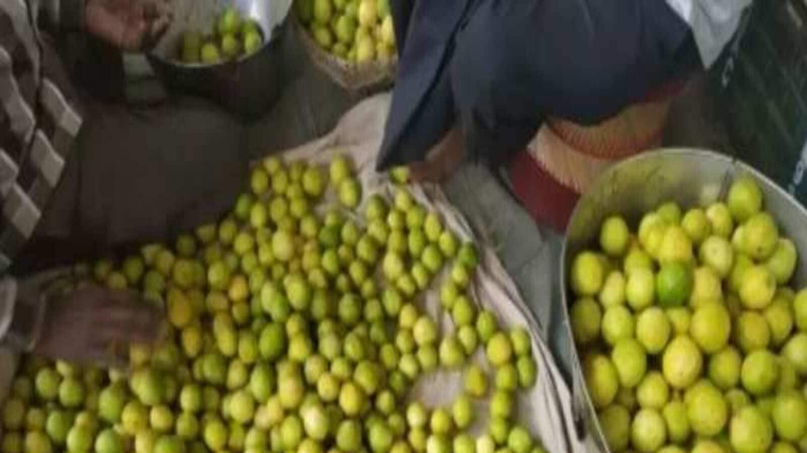 Lemon inflation why are the prices of lemons suddenly increasing know ...