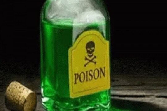 Painful poison: ଦୁନିଆର ସବୁଠୁ ଯନ୍ତ୍ରଣାଦାୟକ ବିଷର ଖୁଲାସା; ଋଷ କରୁଛି ବ୍ୟବହାର ...