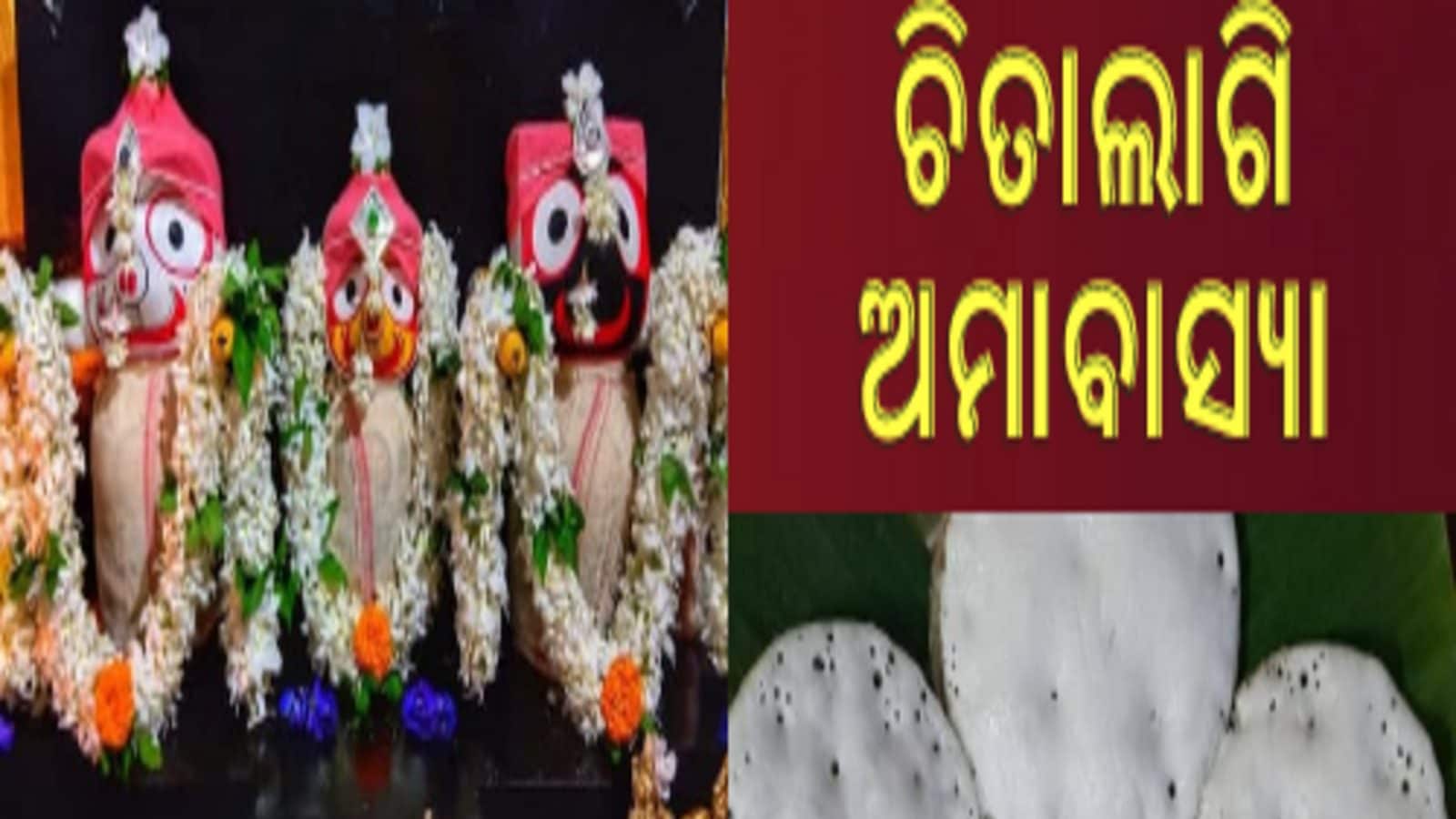 ଚିତାଲାଗି ଅମାବାସ୍ୟାରେ କାହିଁକି ଗେଣ୍ଡାକୁ ଦିଆଯାଏ ଚିତଉ ପିଠା Find out why all ...
