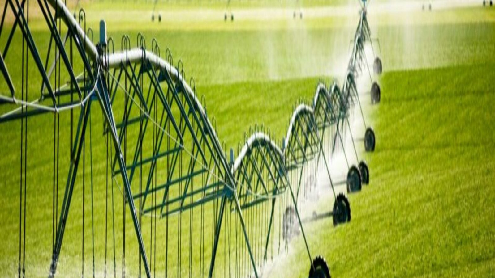 Water farming is a great thing it is a gift for human existence 2022 ...