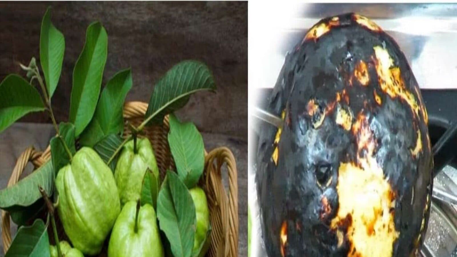 Is roasted guava good for health Roasted guava: କଞ୍ଚା ଅପେକ୍ଷା ପୋଡ଼ା ...