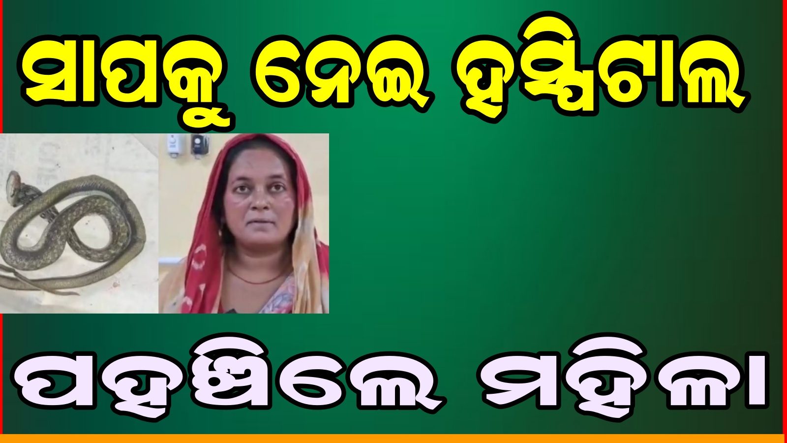 Gujarat Woman took snake in hospital ସାପକୁ ନେଇ ଡାକ୍ତରଖାନାରେ ପହଞ୍ଚିଲେ ...