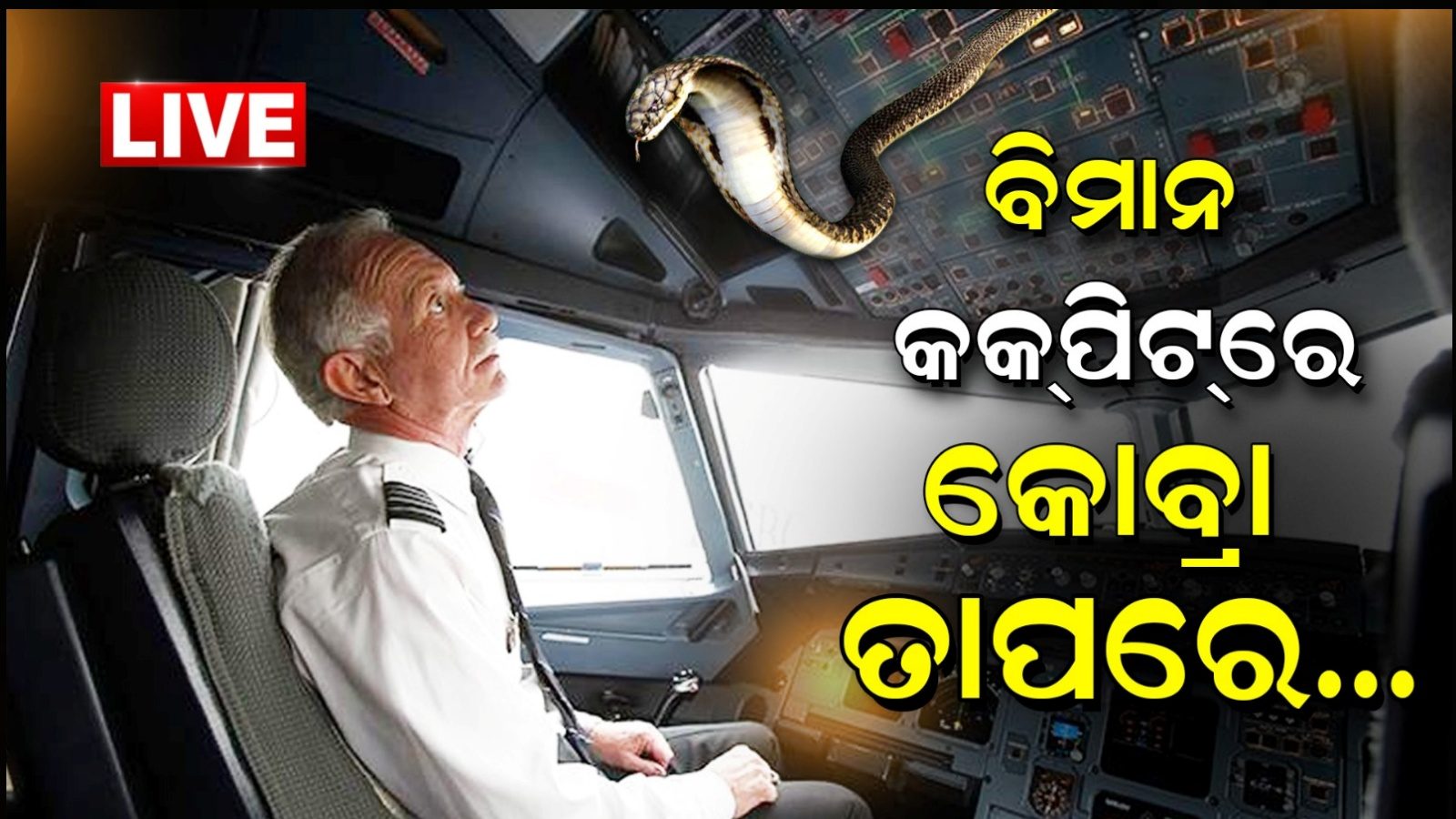 Pilot finds deadly cobra in cockpit ଉଡ଼ନ୍ତା ବିମାନରେ ନାଗ ଦେଖିଲେ ପାଇଲଟ୍ ...