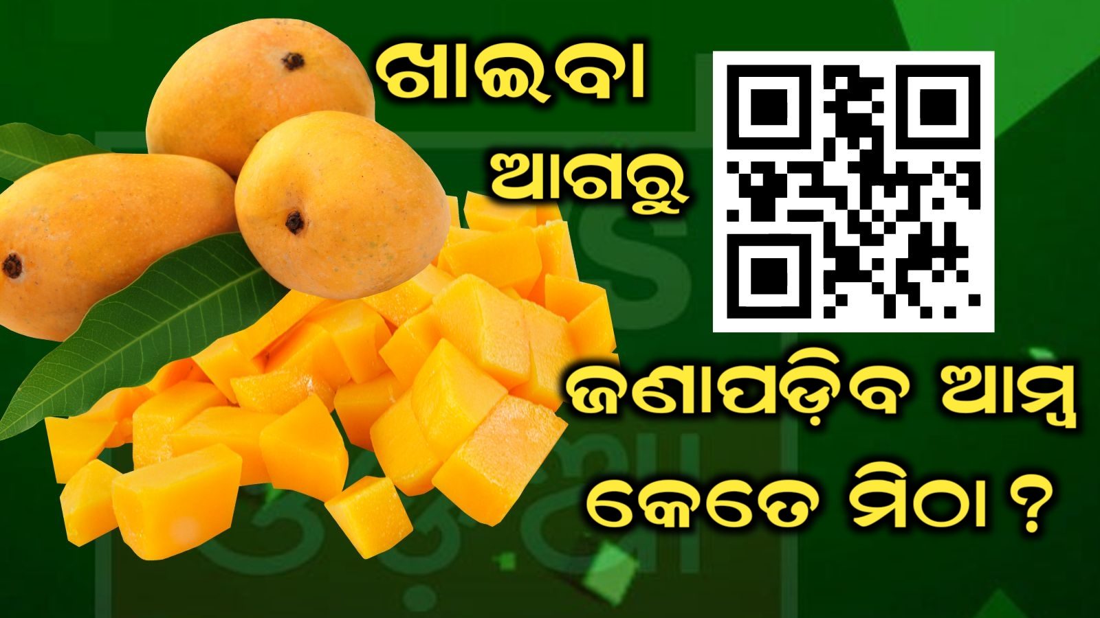 ଏମିତି ବି ସମ୍ଭବ କି? QR Codeରୁ ଜଣା ପଡ଼ିବ ଆମ୍ୱ କେଉଁ ପ୍ରଜାତିର ଓ ମାଲିକ କିଏ ...