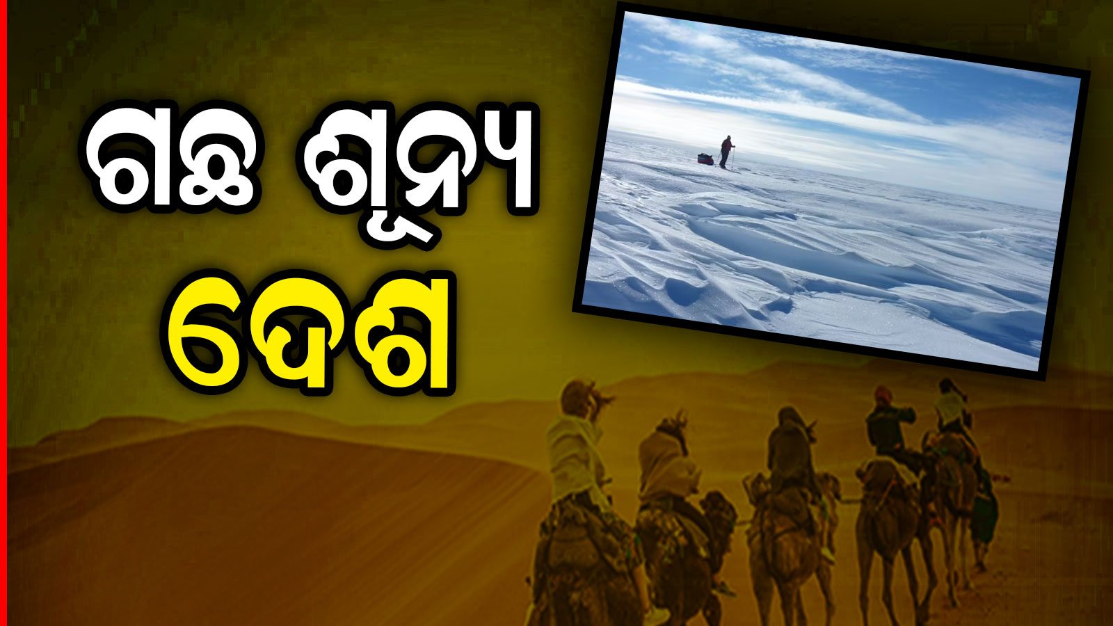 Countries Without Trees: ଏହି ଦେଶରେ ନାହିଁ ଗୋଟିଏ ବି ଗଛ; କିଭଳି ବଞ୍ଚିଛନ୍ତି ...