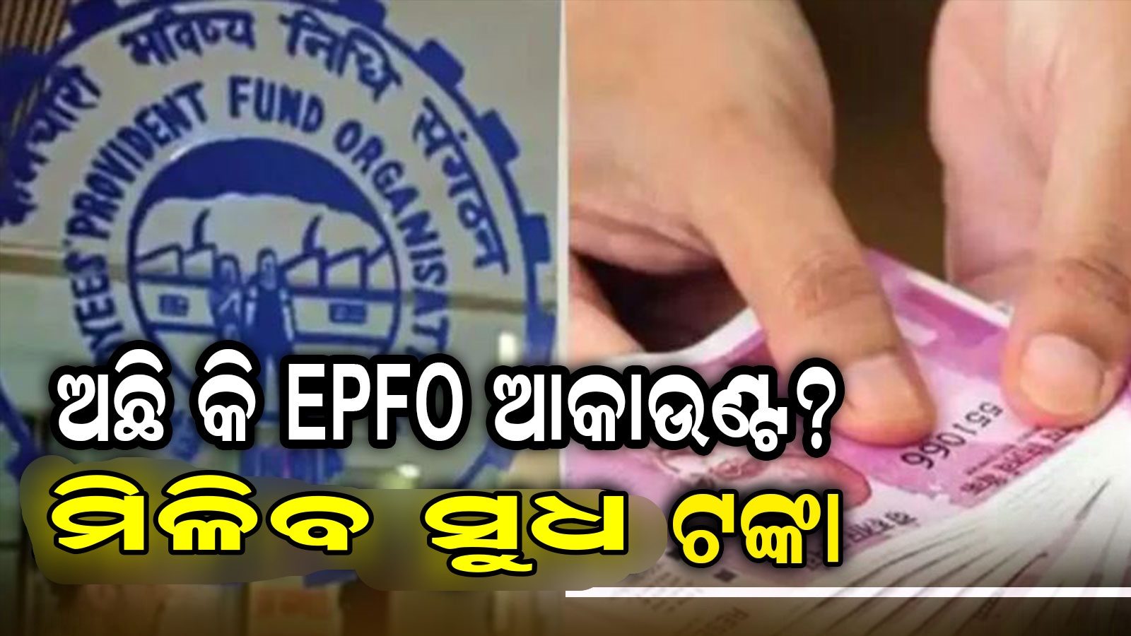 PF କର୍ମଚାରୀଙ୍କର ଲାଗିଲା ଲଟେରୀ; ଏହି ଦିନ ଆକାଉଣ୍ଟକୁ ଆସିବ ସୁଧ ଟଙ୍କା EPFO pf employees interest amount ...