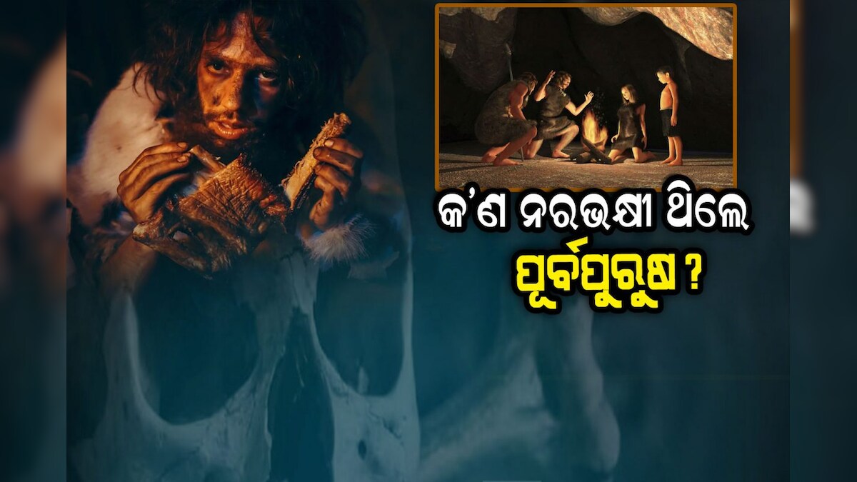 Cannibal History: ମଣିଷକୁ ଖାଉଥିଲା ମଣିଷ; ମିଳିଲା ପ୍ରମାଣ; ନରଭକ୍ଷୀ ଥିଲେ ...