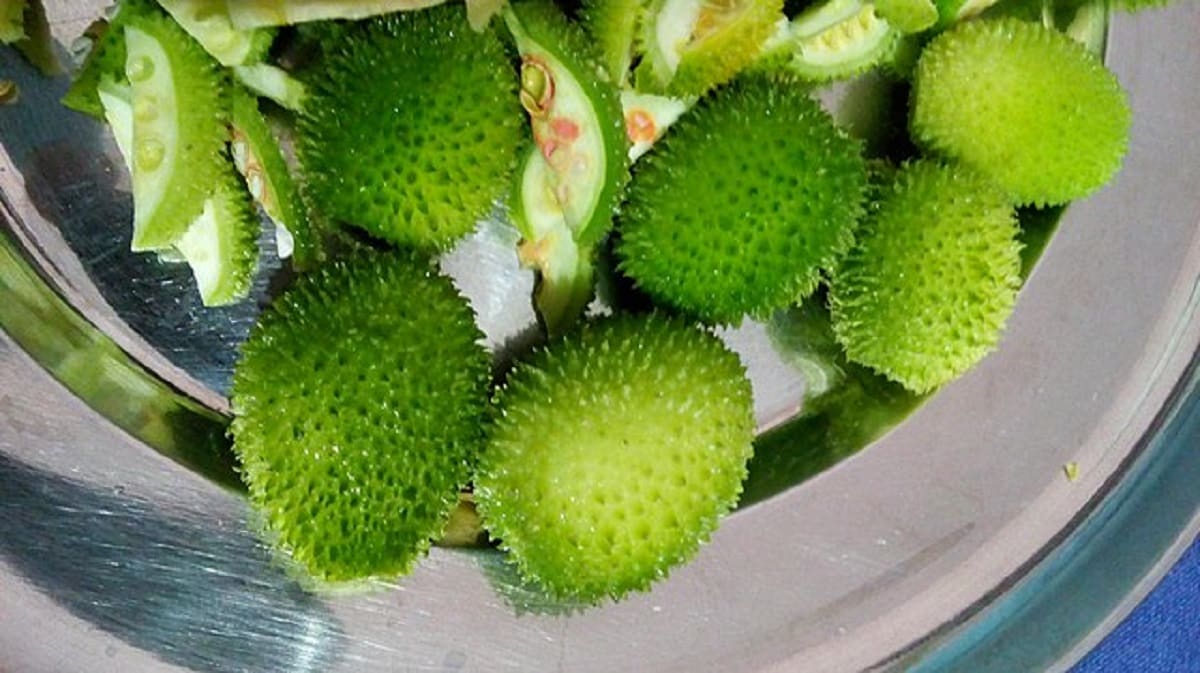 Boda Kakarakaya: କାଙ୍କଡ ଖାଇଲେ କଣ ମିଳେ ଲାଭ ? ଏହାର ଦାମ୍‌ କେତେ ? – News18 ଓଡିଆ