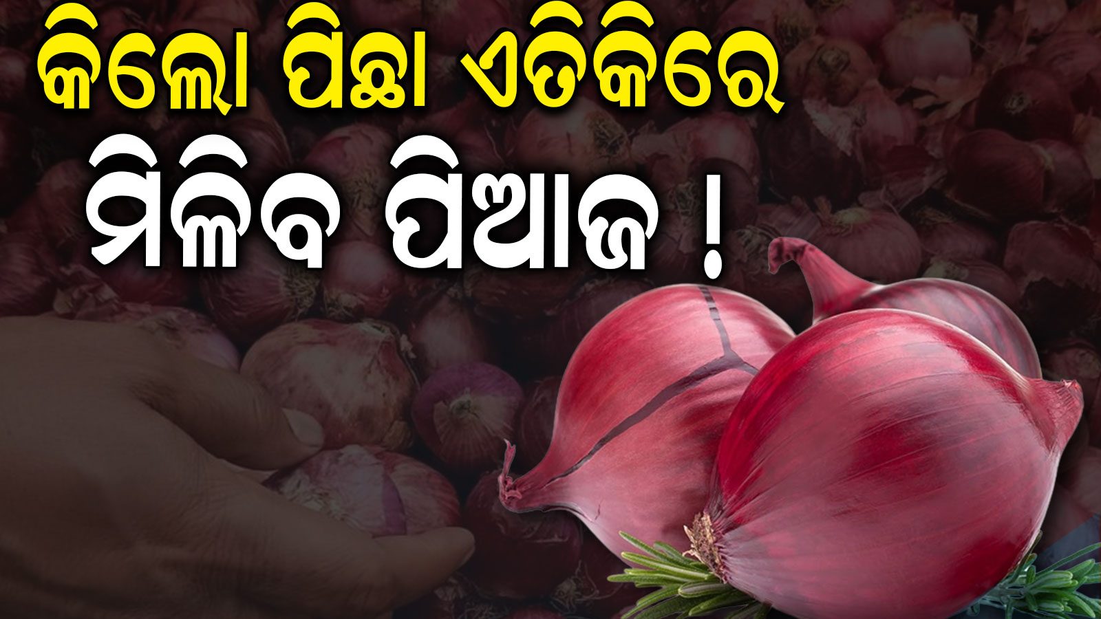 Onion Price: ଗ୍ରାହକଙ୍କୁ ଆରାମ ଦେବେ ସରକାର; ୮୦ ଟଙ୍କାର ପିଆଜ ୨୫ ଟଙ୍କାରେ ବିକ୍ରି onion price hike ...