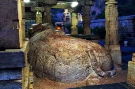 Unique Temple: ଦେଶରେ ଅଛି ଏମିତି ଏକ ମନ୍ଦିର; ଯେଉଁଠି ବଢୁଛନ୍ତି ନନ୍ଦି Unique ...